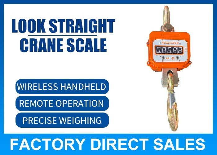 Remote Control Electric Digital Hanging Crane Scale 1 Ton 2 Ton 3 Ton 5 Ton